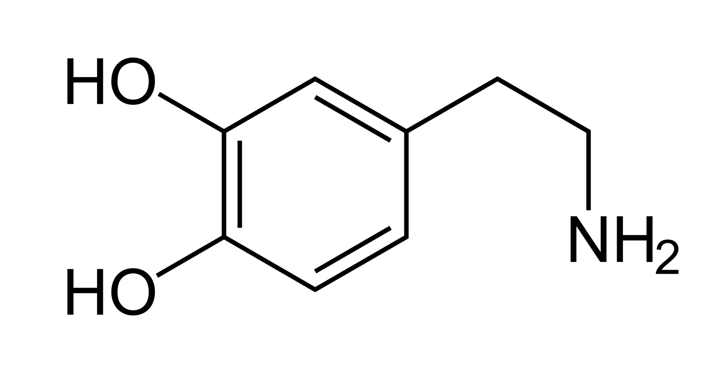 Dopamine | What are its functions?